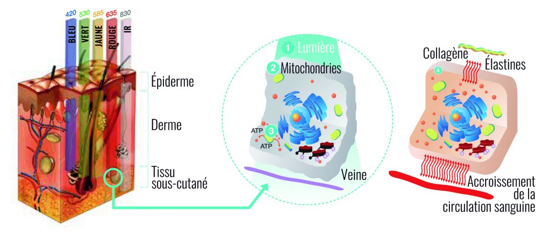 SMARTLUX MINI - La technolgie LED by La Compagnie des Lasers